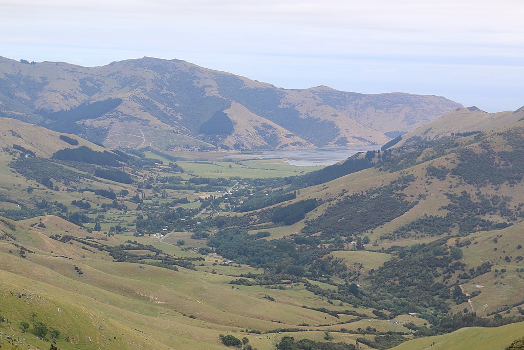 Delighting in Little River’s library – A B'Old Woman